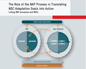 New Publication: "The Role of the NAP Process in Translating NDC ...