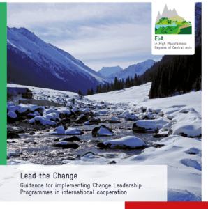 Lead the Change: Guidance for implementing Change Leadership Programmes ...