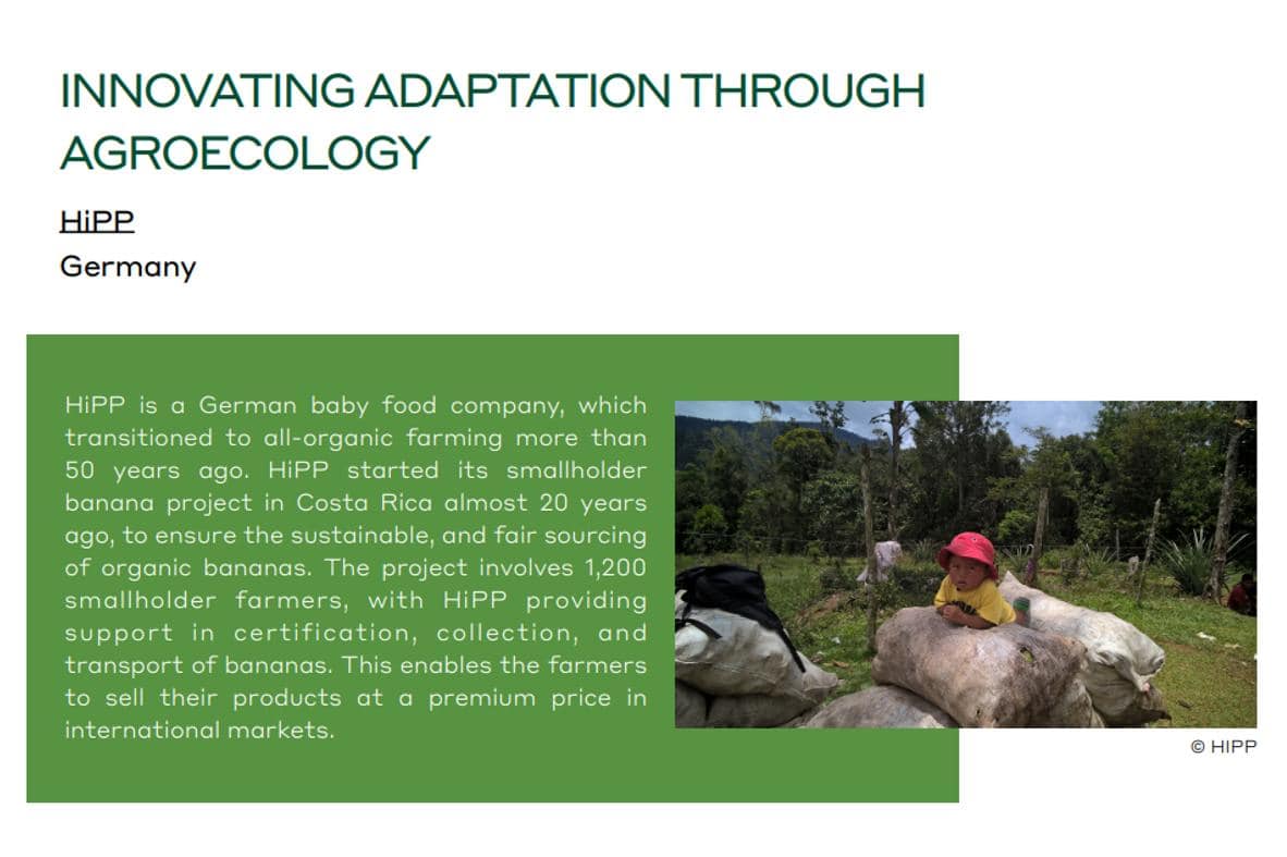 Examples - Adaptation Community