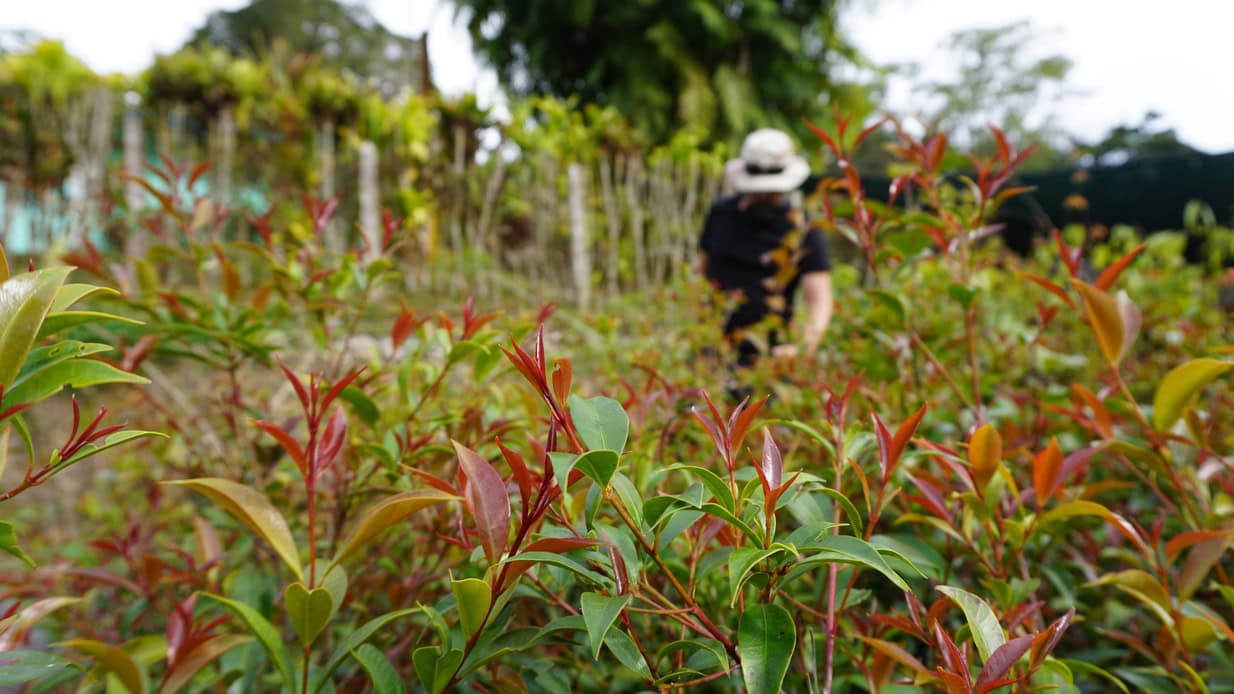 EbA Tools Navigator – your feedback can help - Adaptation Community