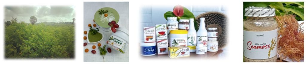 Botanic Treasures Ltd. - Adaptation Community