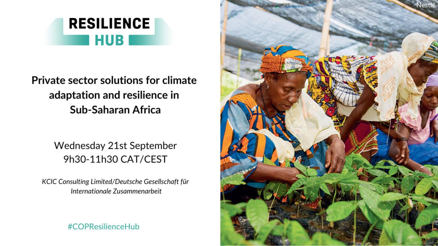 COP27 Africa Regional Resilience Hub Session: Private sector solutions ...