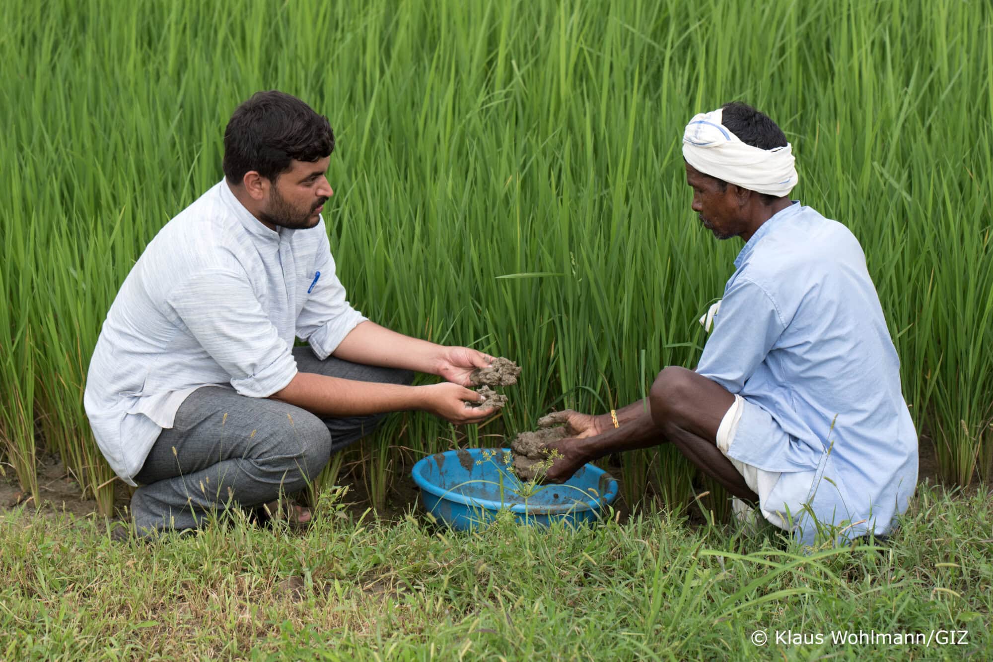 How soils help adapt to climate change - Adaptation Community