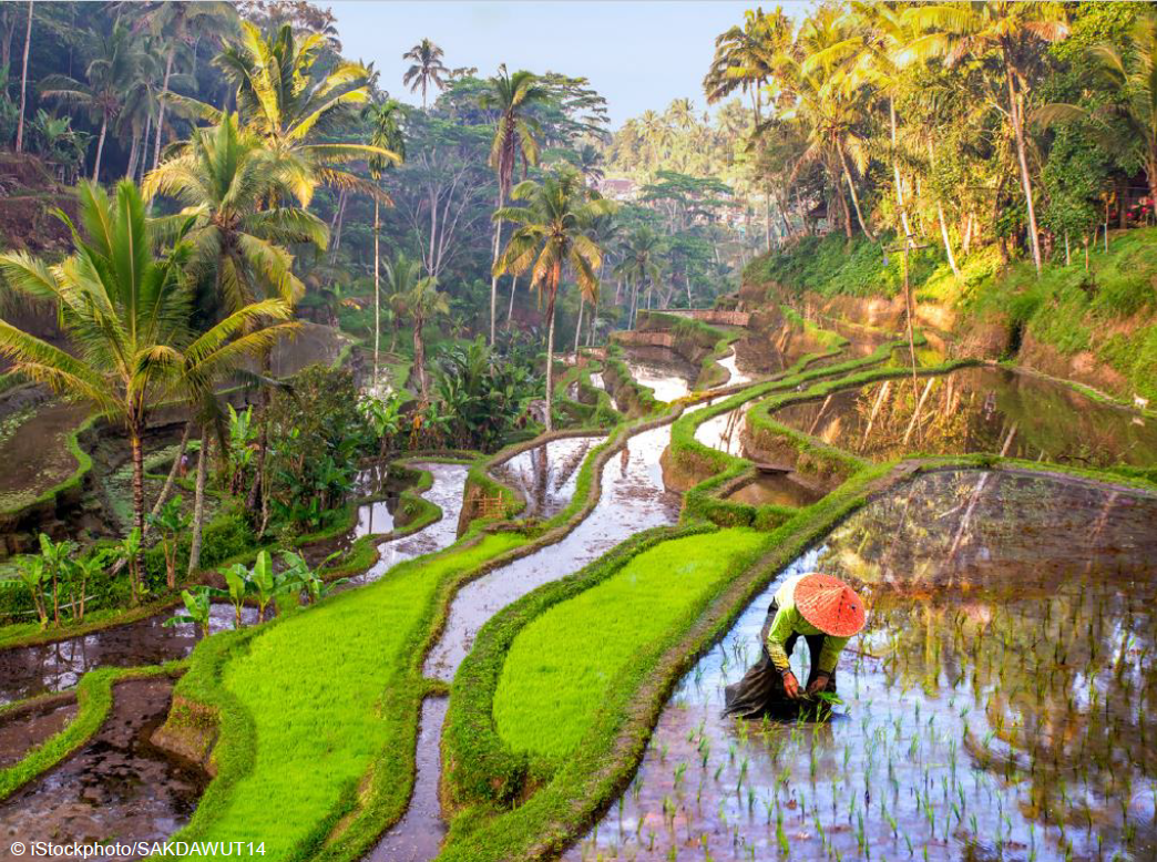 Linking Agroecology and Ecosystem-based Adaptation for Climate Resilient Landscapes - Adaptation ...