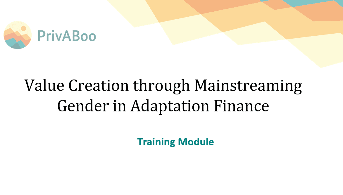 Value Creation Through Mainstreaming Gender In Adaptation Finance