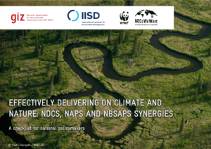 Effectively delivering on Climate and Nature: NDCs, NAPs and NBSAPs ...