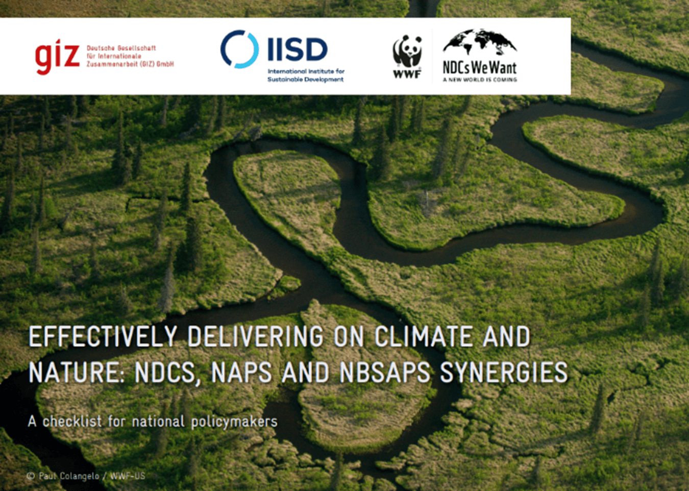 New publication: Effectively delivering on Climate and Nature: NDCs ...